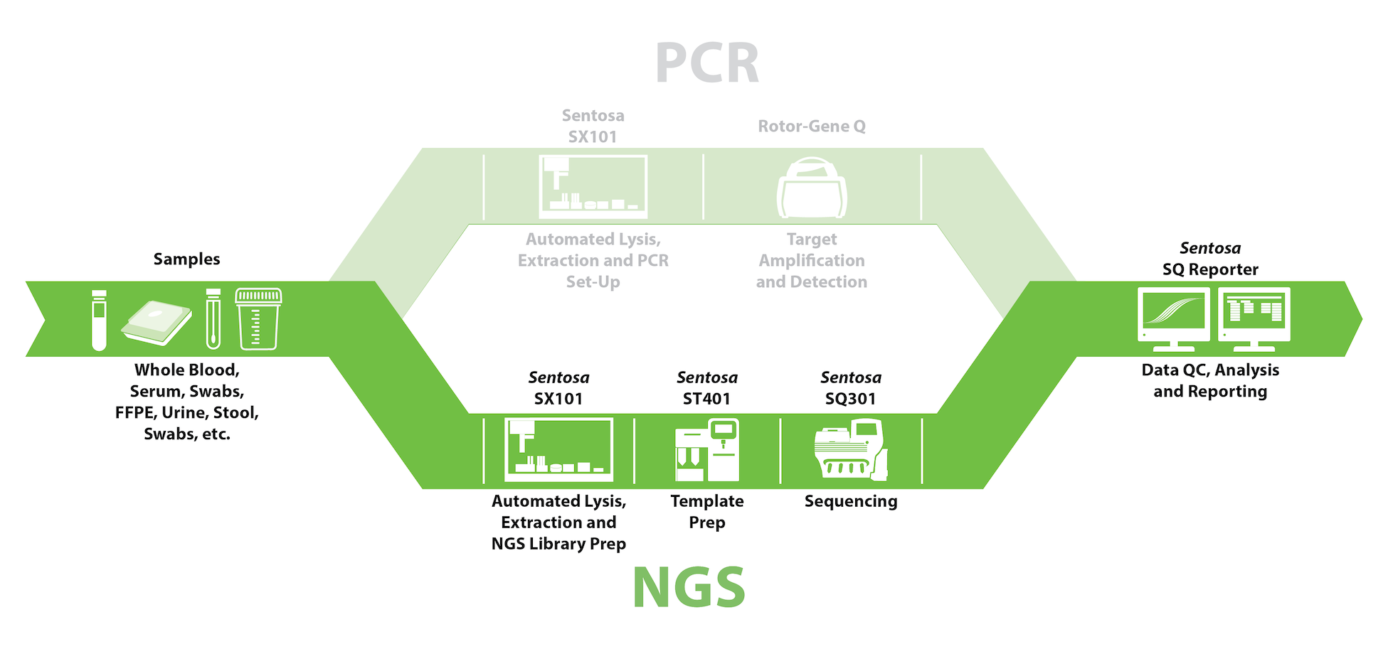 Integrated PCR & NGS Workflows for Infectious Disease and Oncology | Vela Diagnostics - Vela ...